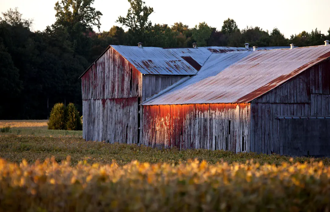 The Ultimate Guide to Barn Roofs: Types, Materials, and History