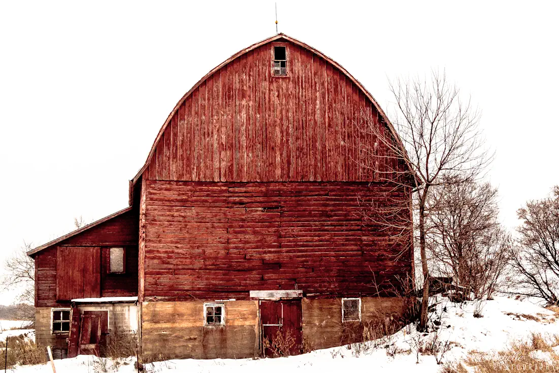 Reclaimed Barn Wood for Sale: The Appeal of Reclaimed Barn Wood